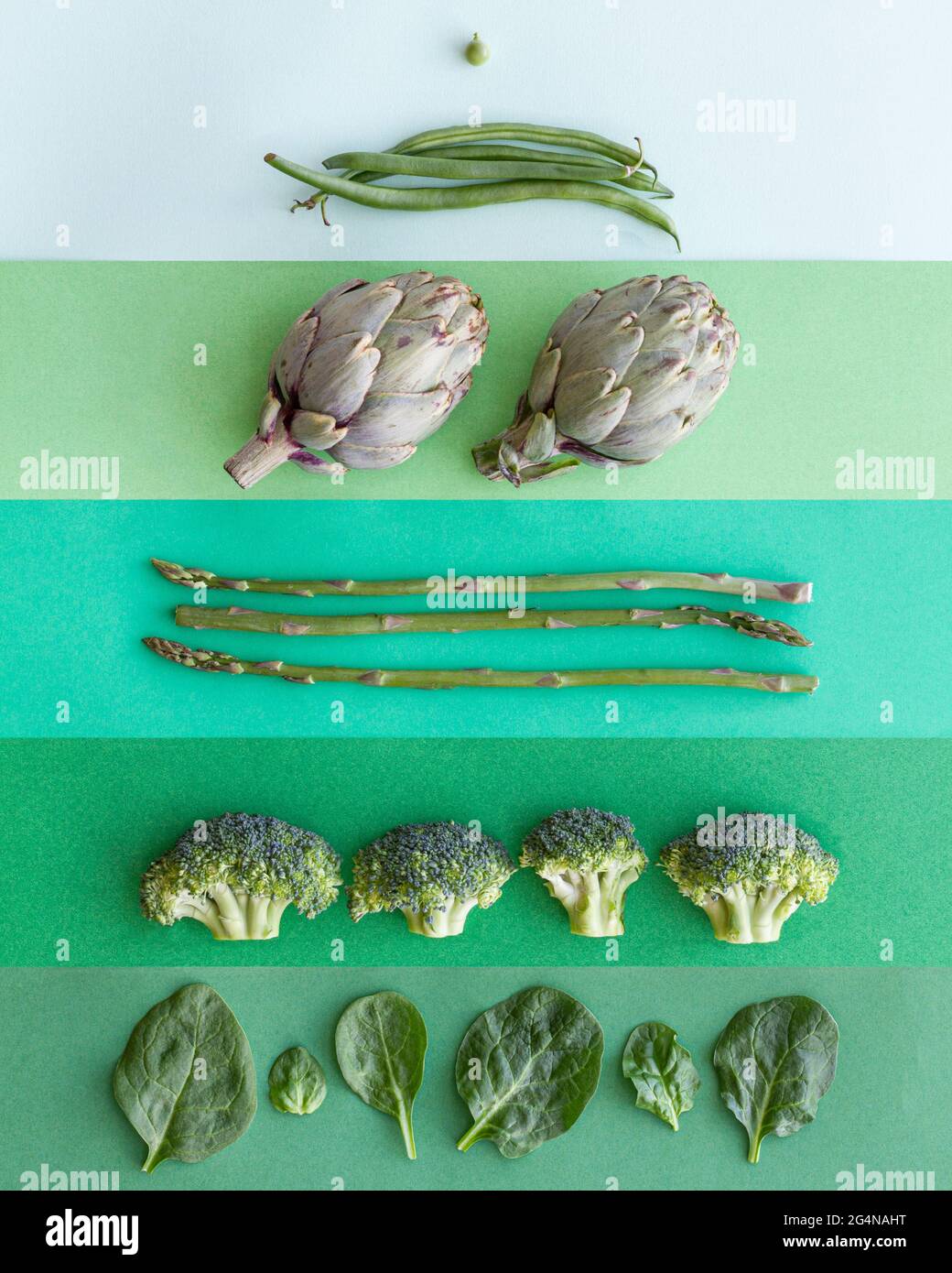 closeup of a green background, with various vegetables, arranged in ...
