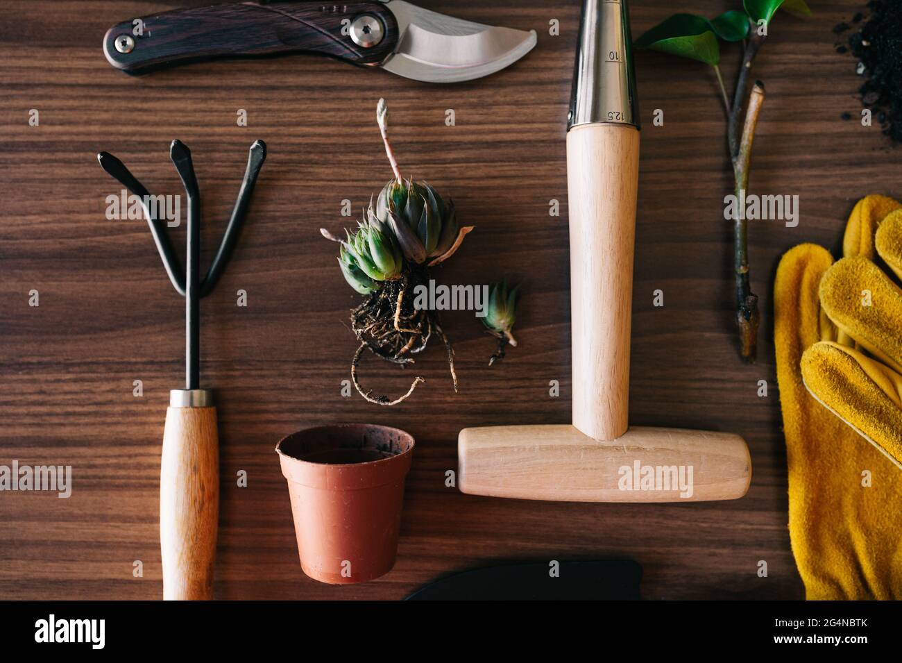 Gardening instruments hi-res stock photography and images - Alamy