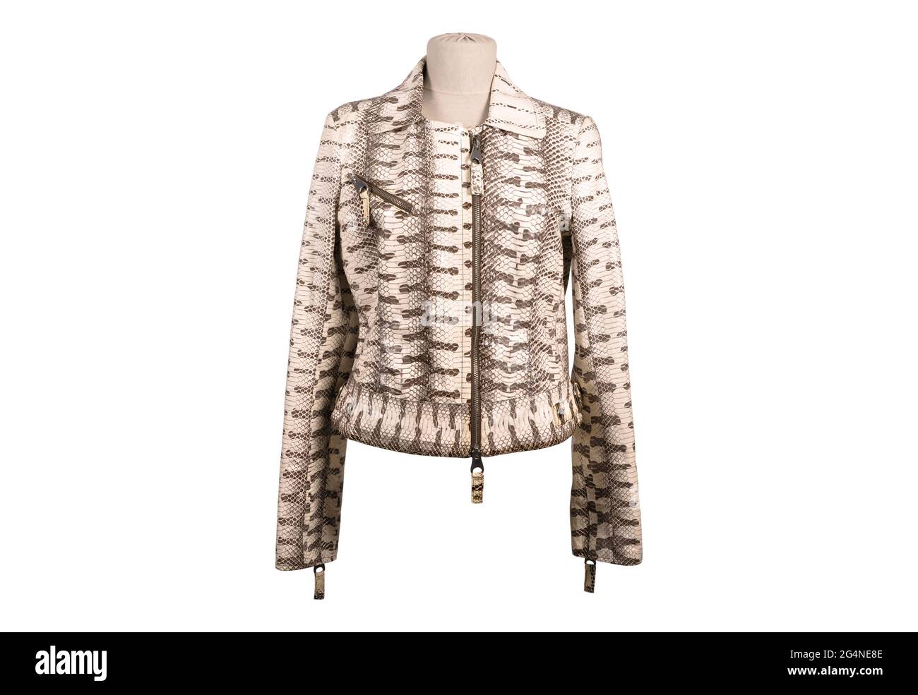 Women's python snake leather jacket isolated on white background, fit ...