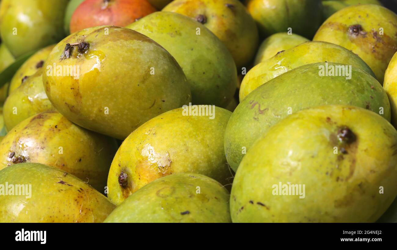 A closeup shot of a pile of green mangoes at a market Stock Photo - Alamy