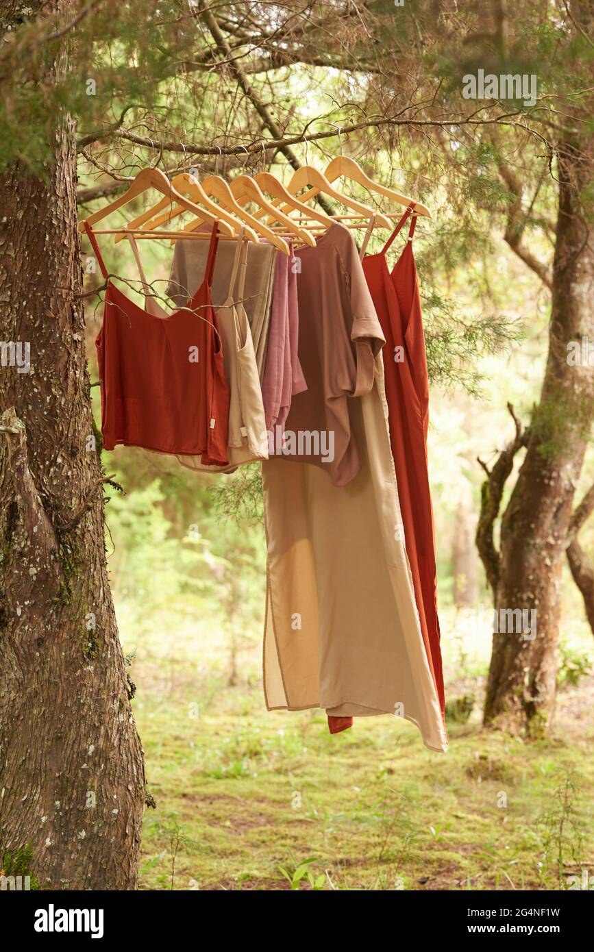A vertical shot of clothes on hangers on a tree branch Stock Photo - Alamy