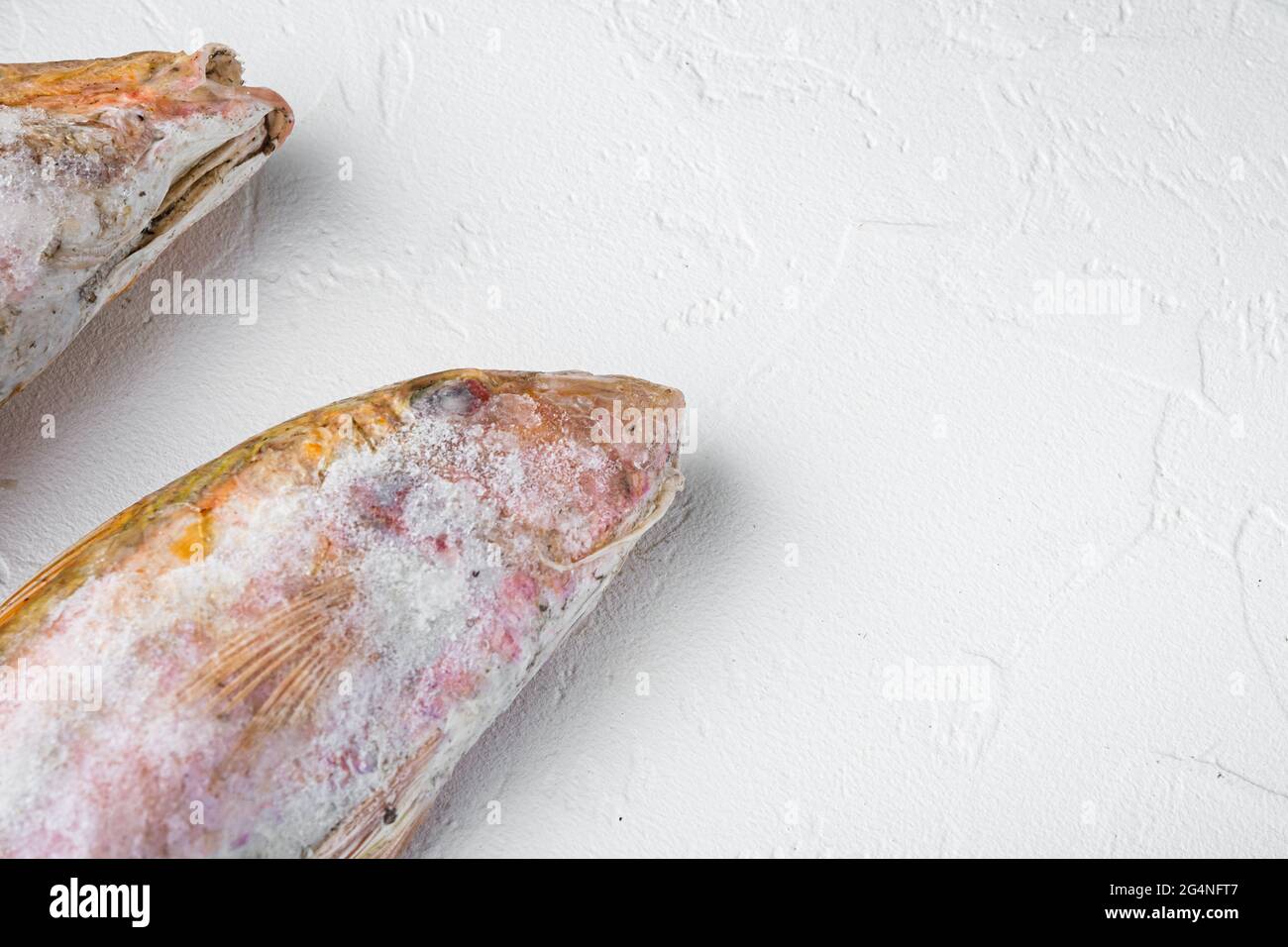 Frozen surmullet fish set, on white stone table background , with copy ...