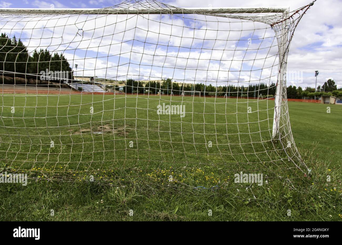 Goalkeeper on soccer field, sport and training, goal Stock Photo - Alamy