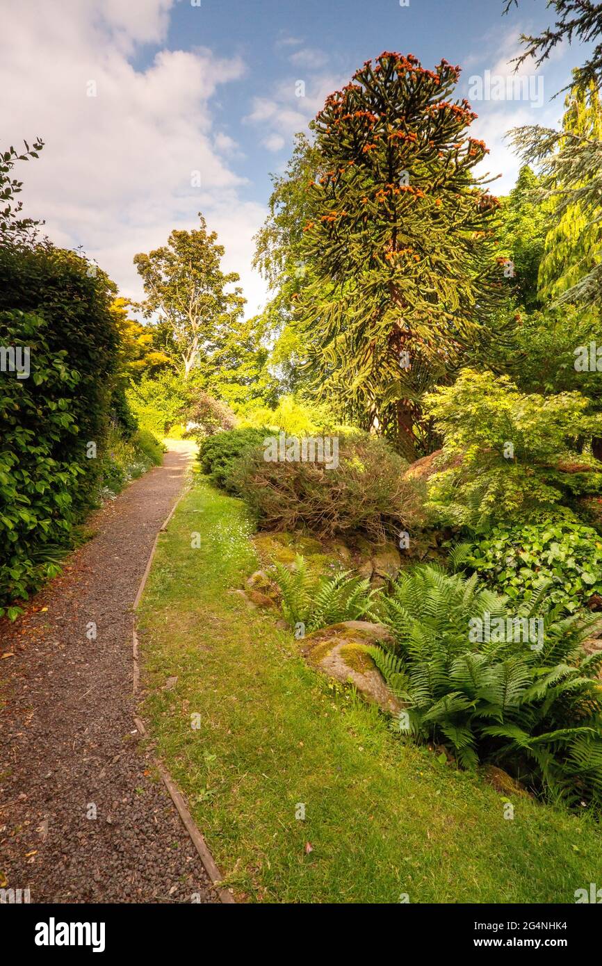 Dr neils garden hi-res stock photography and images - Alamy