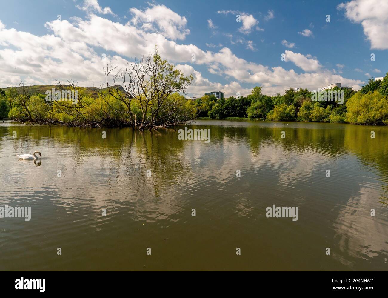 Lochend hi-res stock photography and images - Alamy