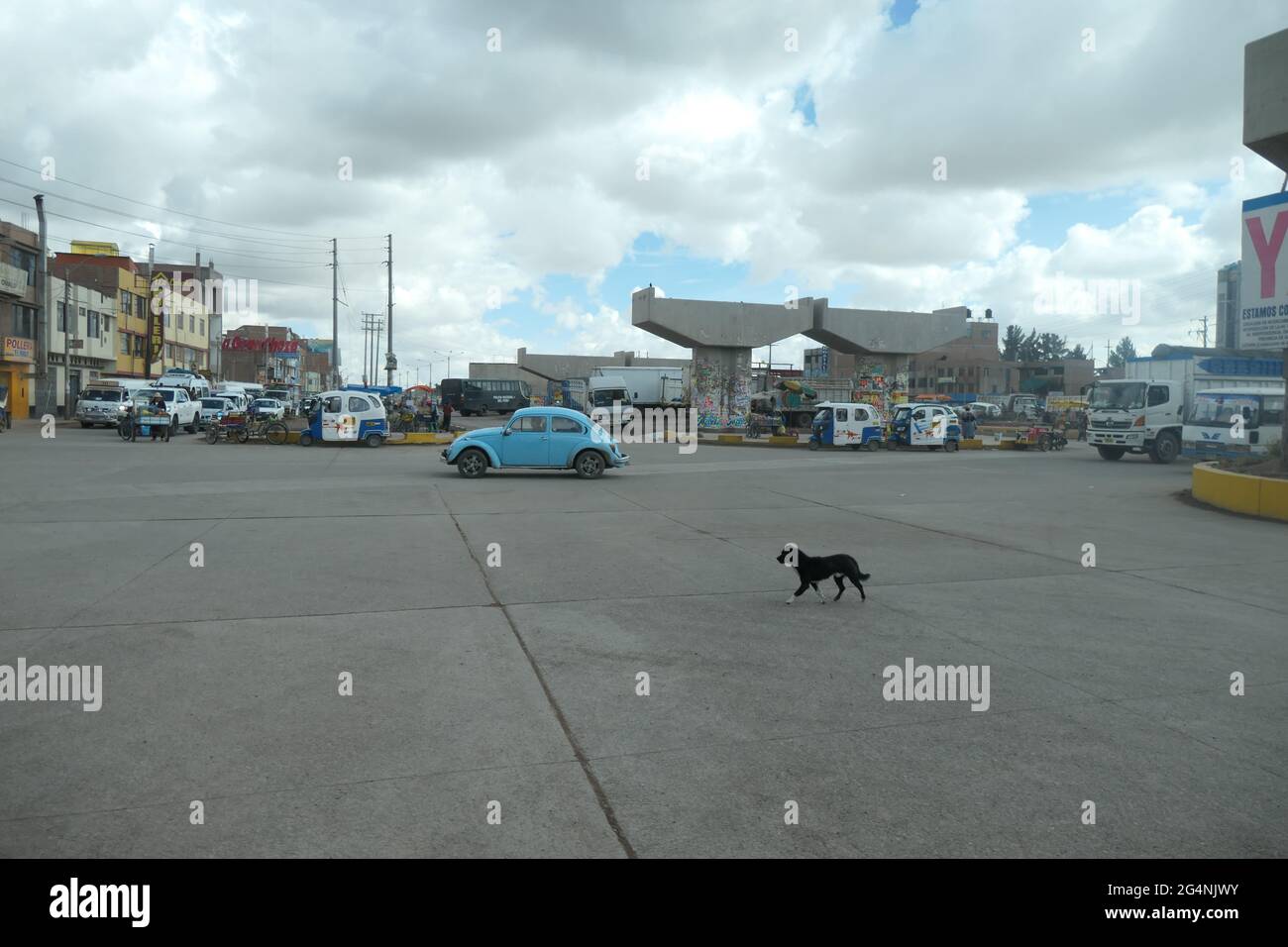Black dog in a street in Peru Tutut taxi cabs walking road path lots of ...