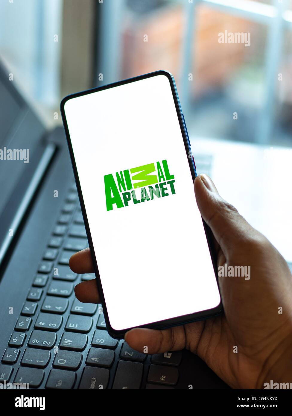 Animal planet channel hi-res stock photography and images - Alamy