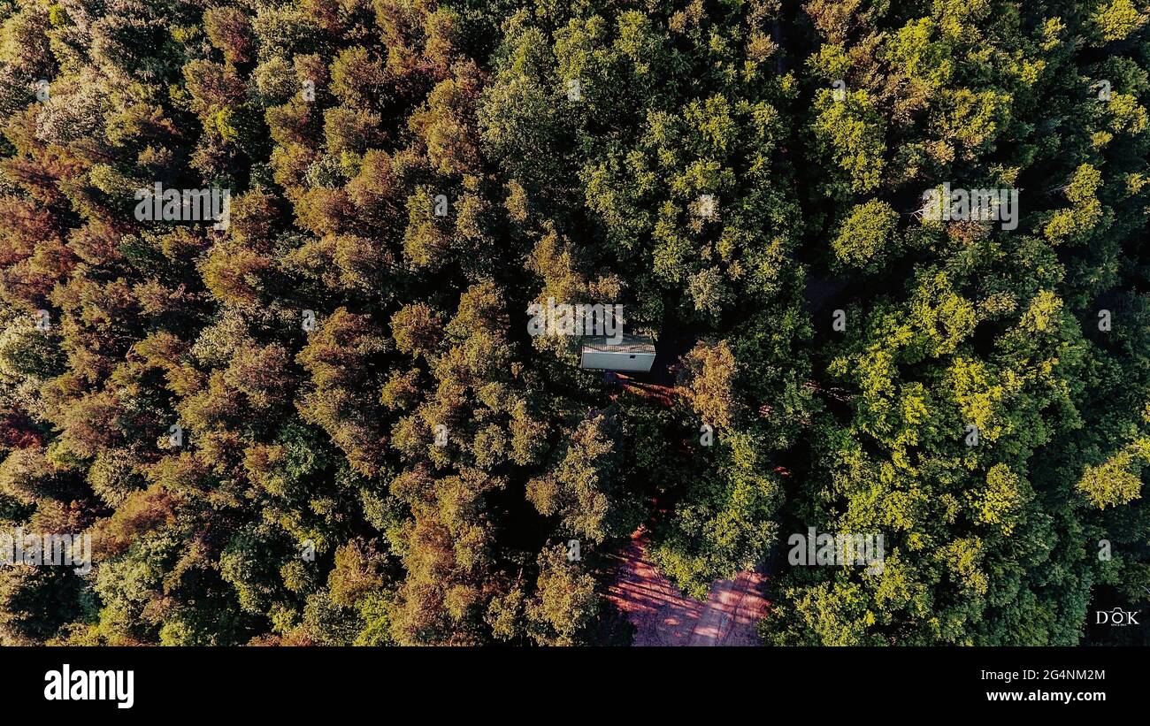 Aerial view of wild nature and bushy forests Stock Photo - Alamy