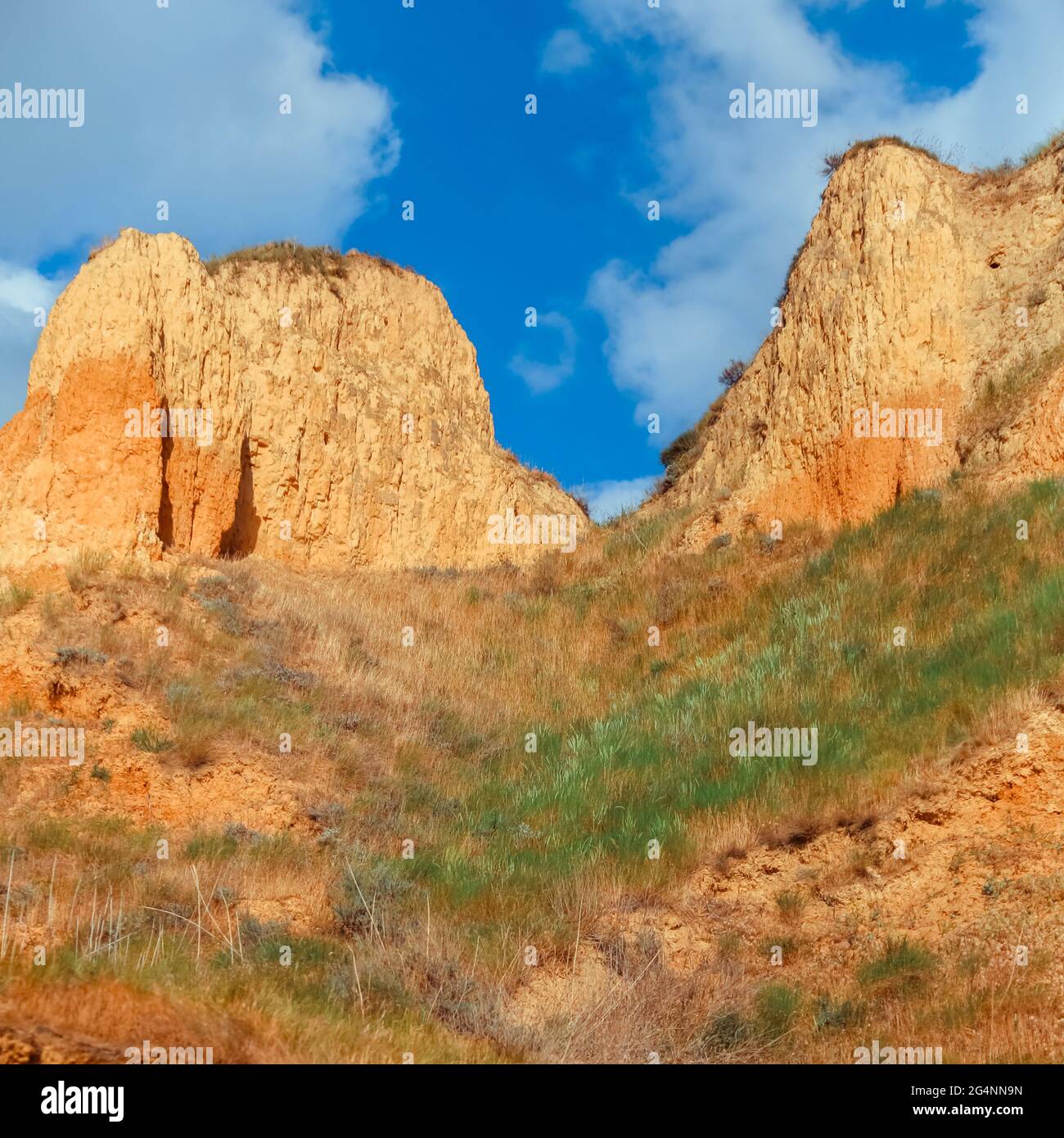 Green grass lawns hi-res stock photography and images - Alamy