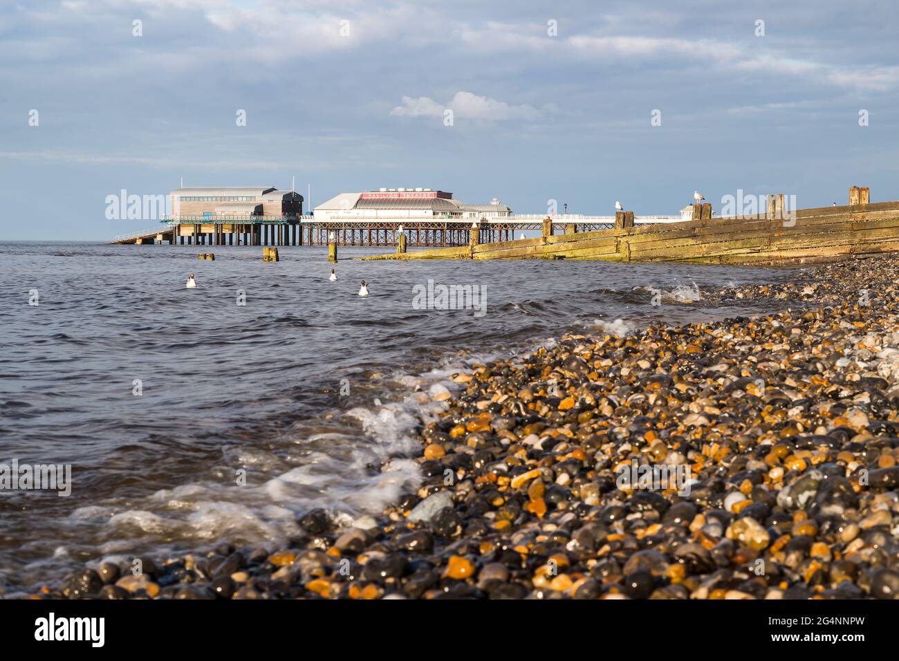 Gulls bob on the waves at Cromer in front of iconic Victorian pier ...