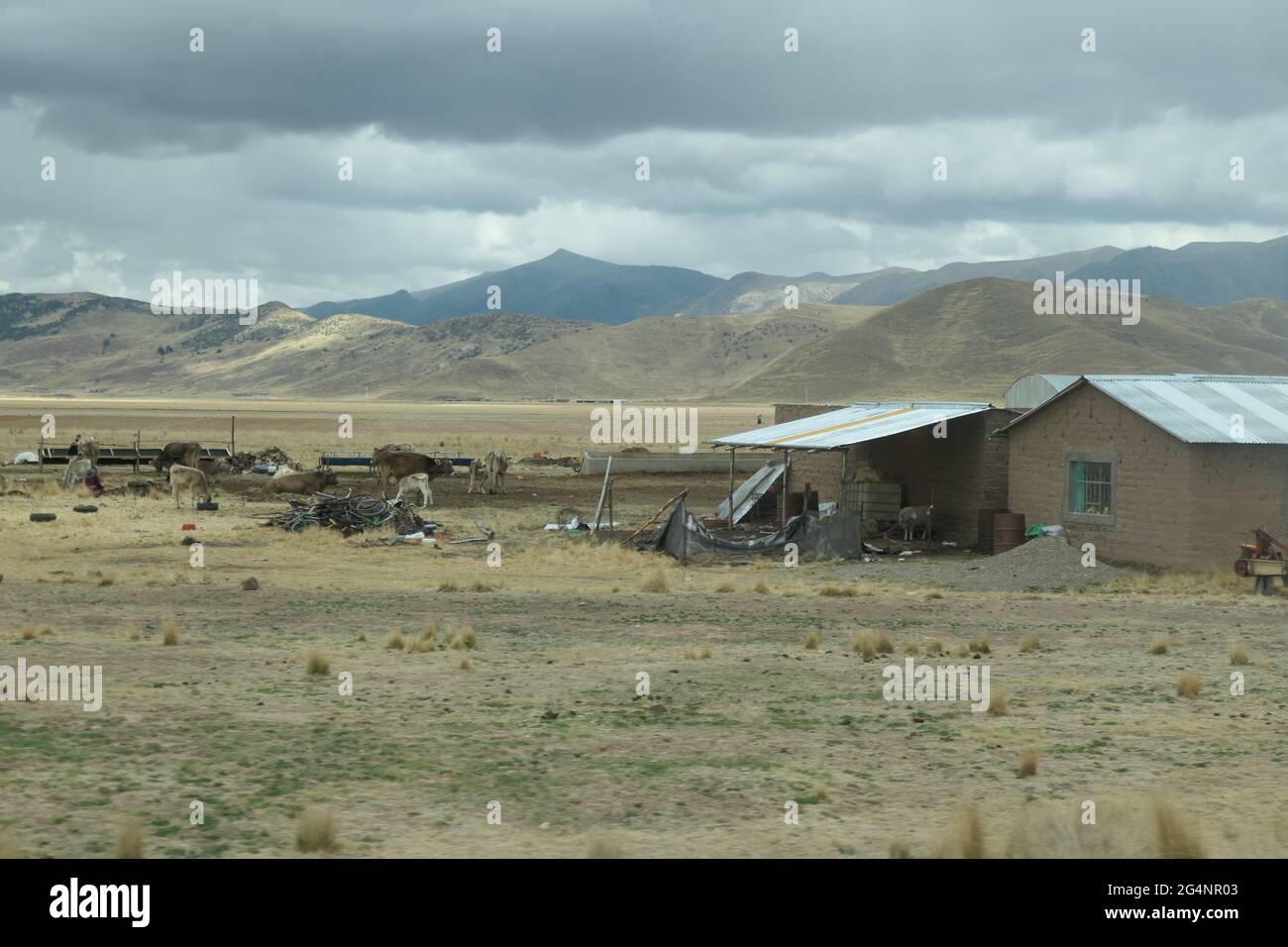 Farm in Peru Stock Photo - Alamy