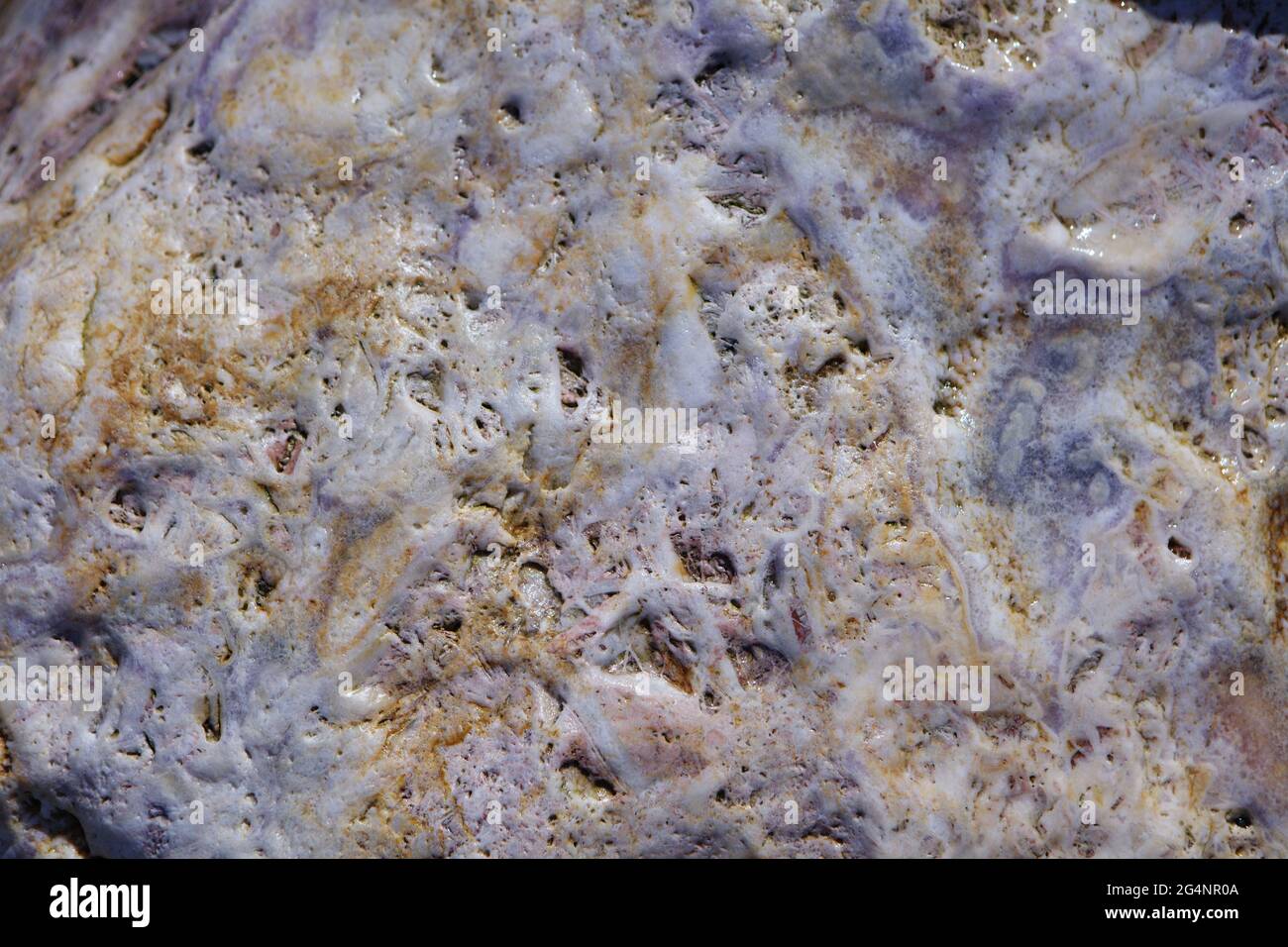 Parc minéral hi-res stock photography and images - Alamy