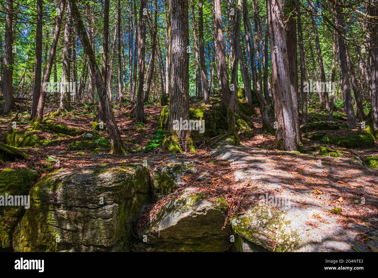 Warsaw caves hi-res stock photography and images - Alamy