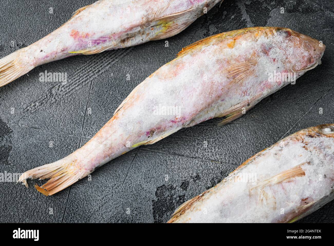 Frozen surmullet fish set, on gray stone table background Stock Photo ...