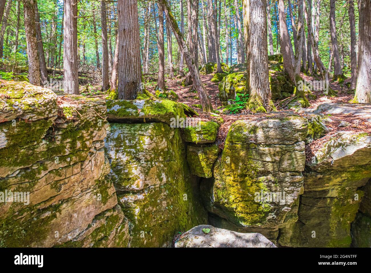 Warsaw conservation area hi-res stock photography and images - Alamy