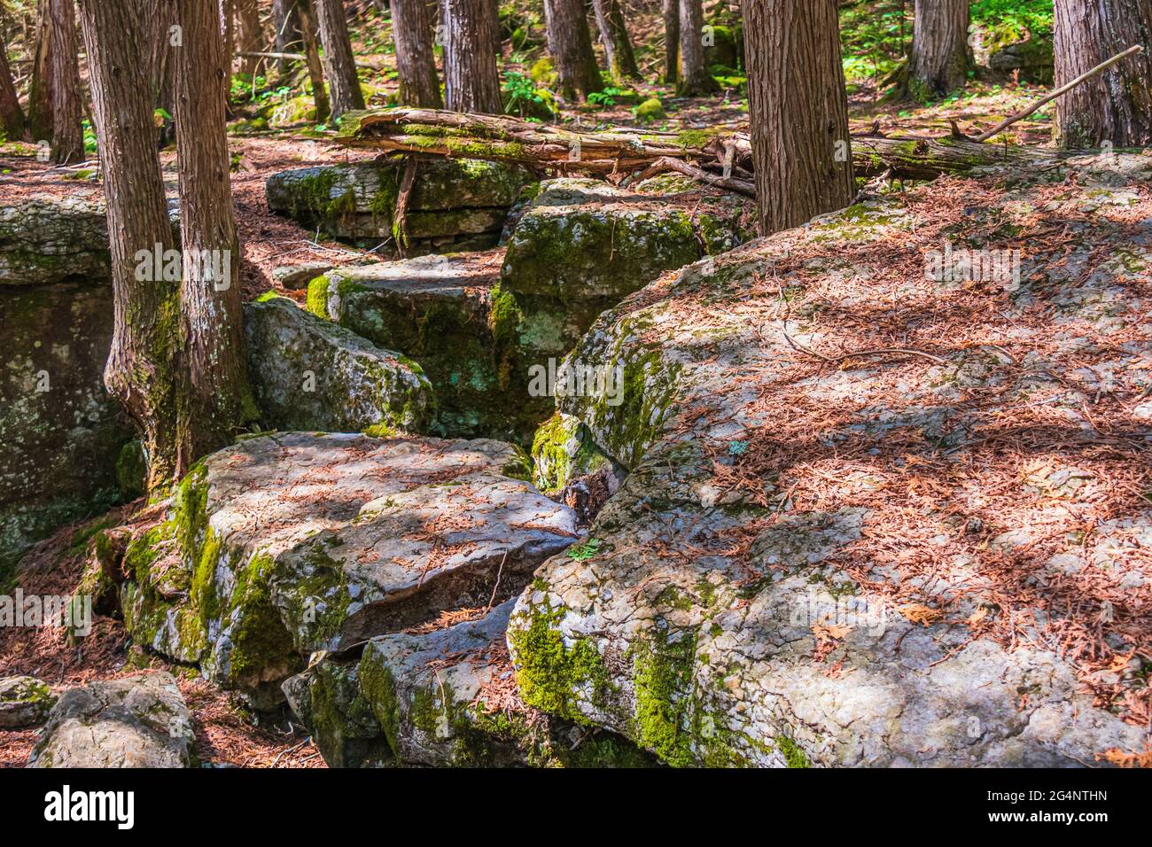 Warsaw Caves and Conservation Area Warsaw Ontario Canada in summer ...