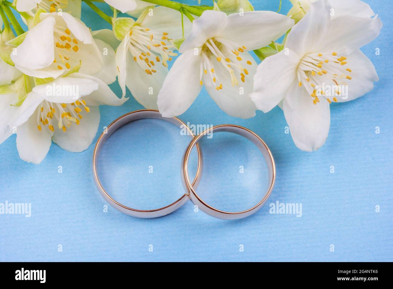 Wedding Rings Blue Background