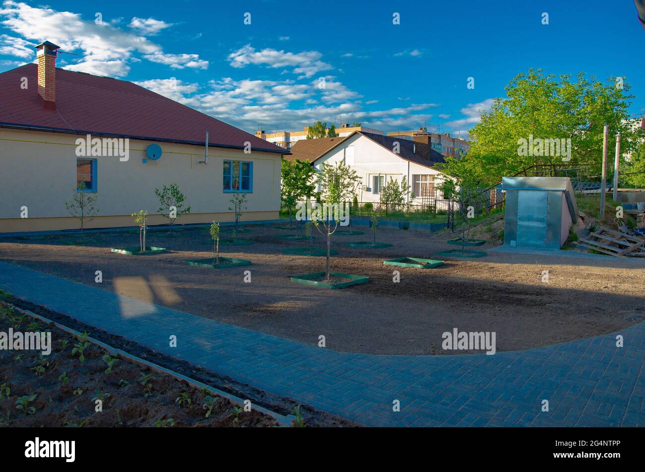 New york city tree planting hi-res stock photography and images - Alamy