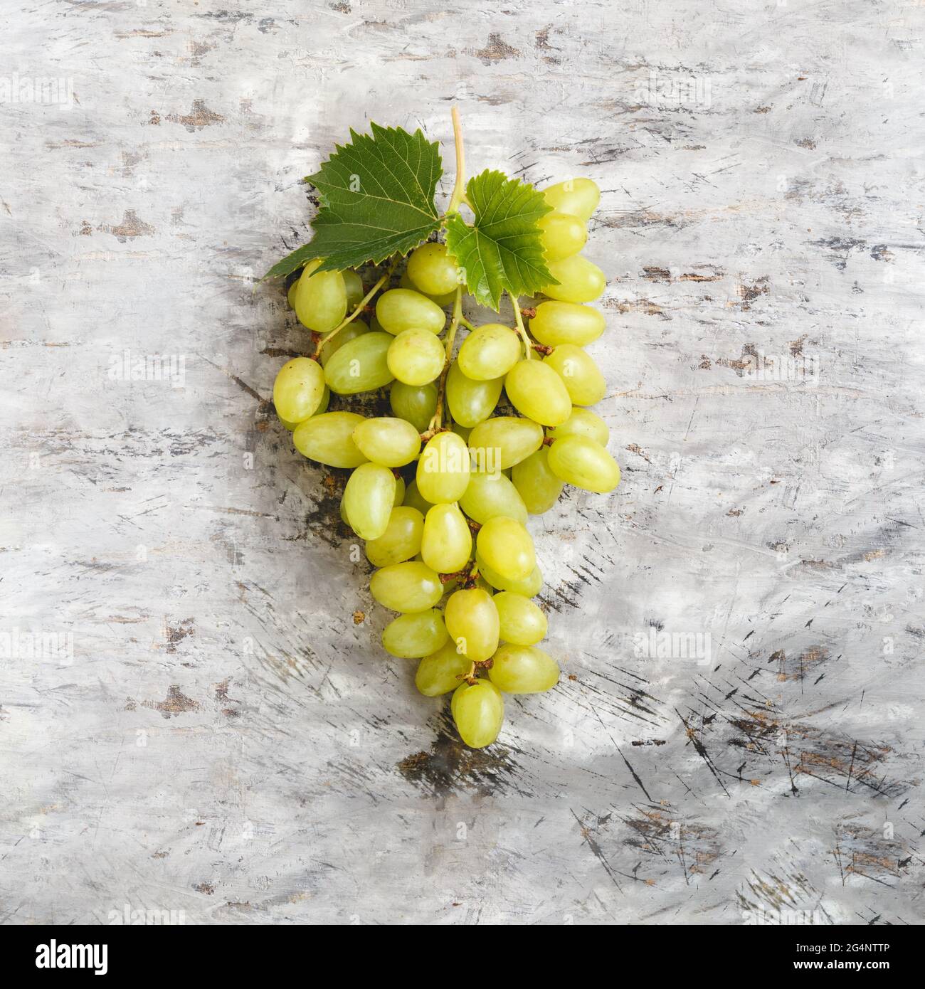 Vine foliage hi-res stock photography and images - Alamy