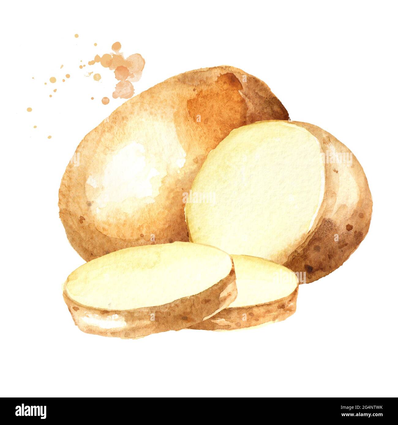 Cut raw potatoes vegetables. Watercolor hand drawn illustration ...