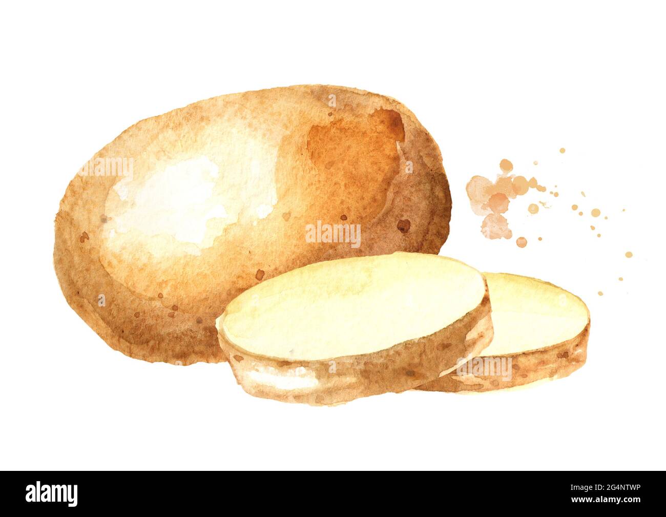 Cut raw potatoes vegetables. Watercolor hand drawn illustration ...