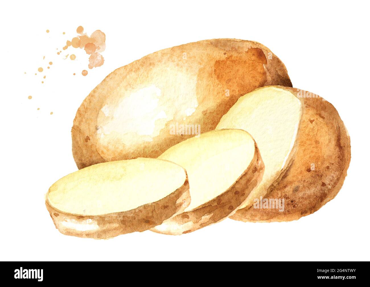 Cut raw potato vegetables. Watercolor hand drawn illustration isolated ...