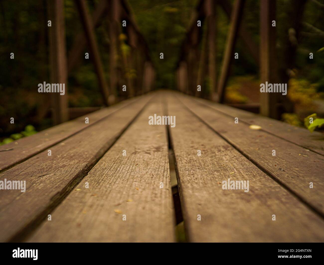Wilderness bridge hi-res stock photography and images - Alamy