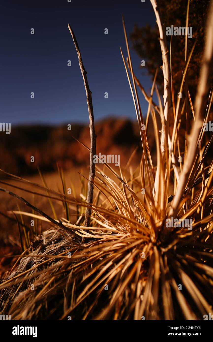 landscape in Red Rocks, Colorado Stock Photo - Alamy