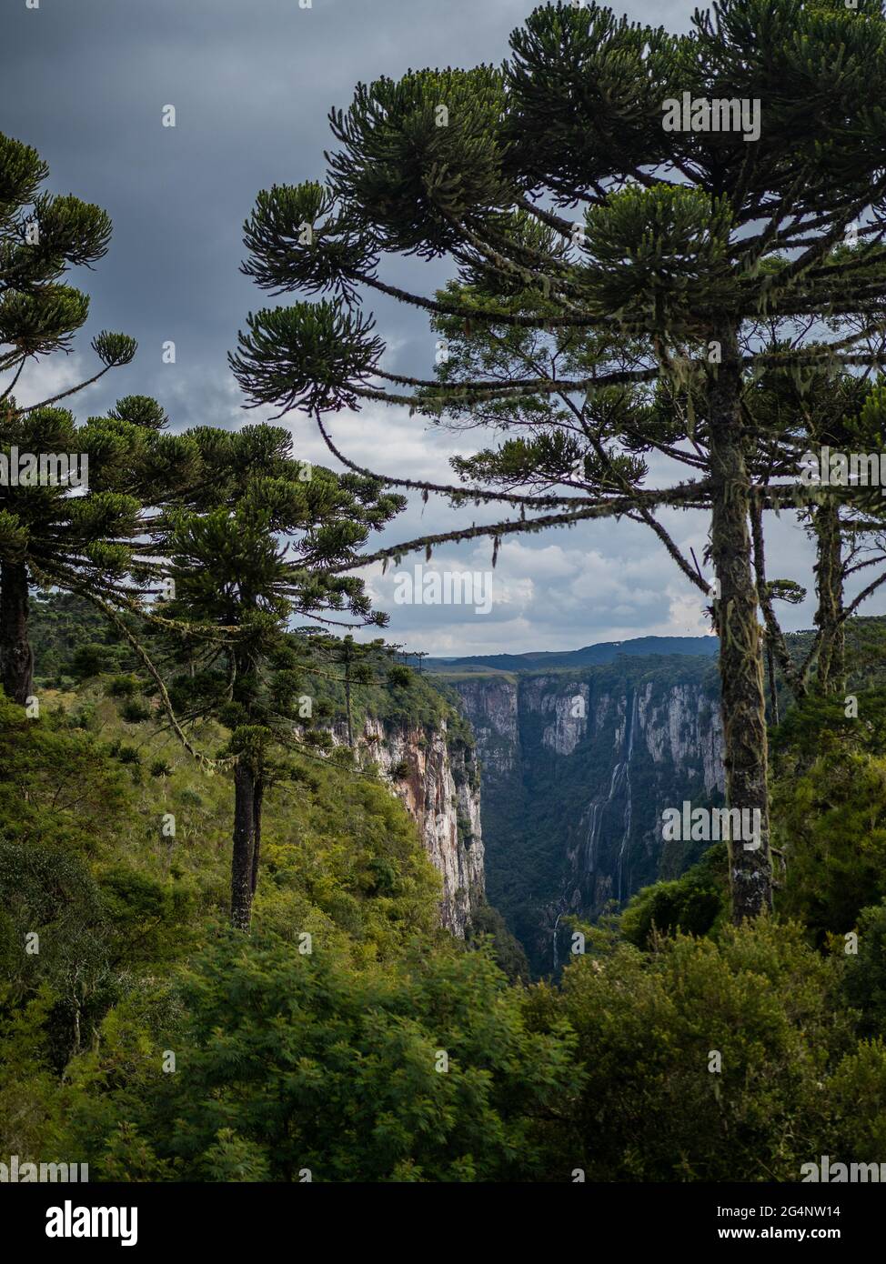 Itaimbezinho Canyon in Cambará do Sul - Serra Gaucha. one of the ...