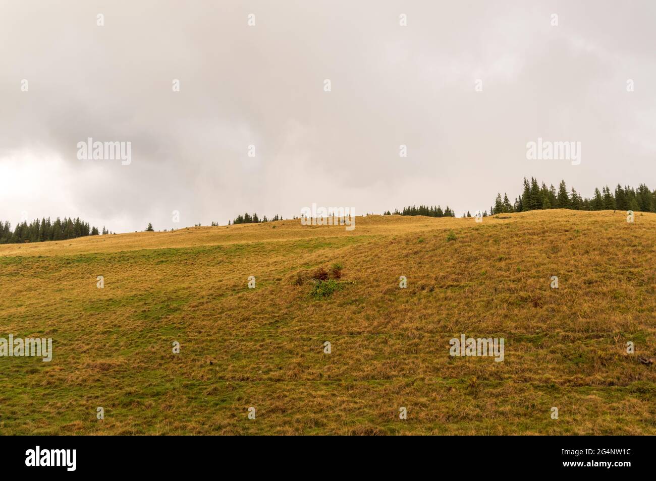 Horizon in the mountains. View of the mountain from below. Rise and sky ...