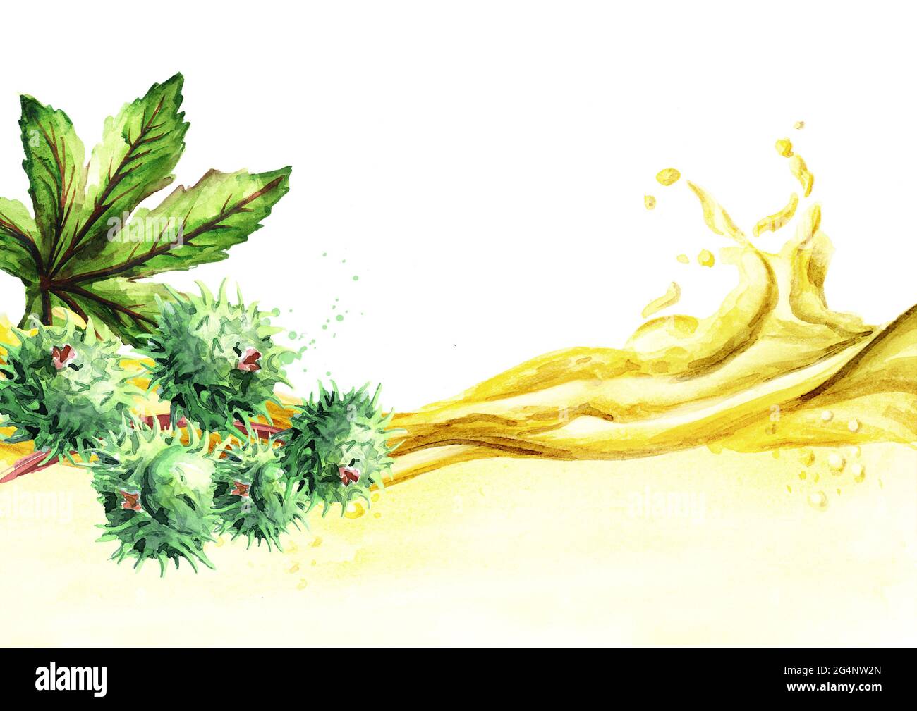 Castor oil wave with Green castor fruits and leaf. Watercolor hand ...
