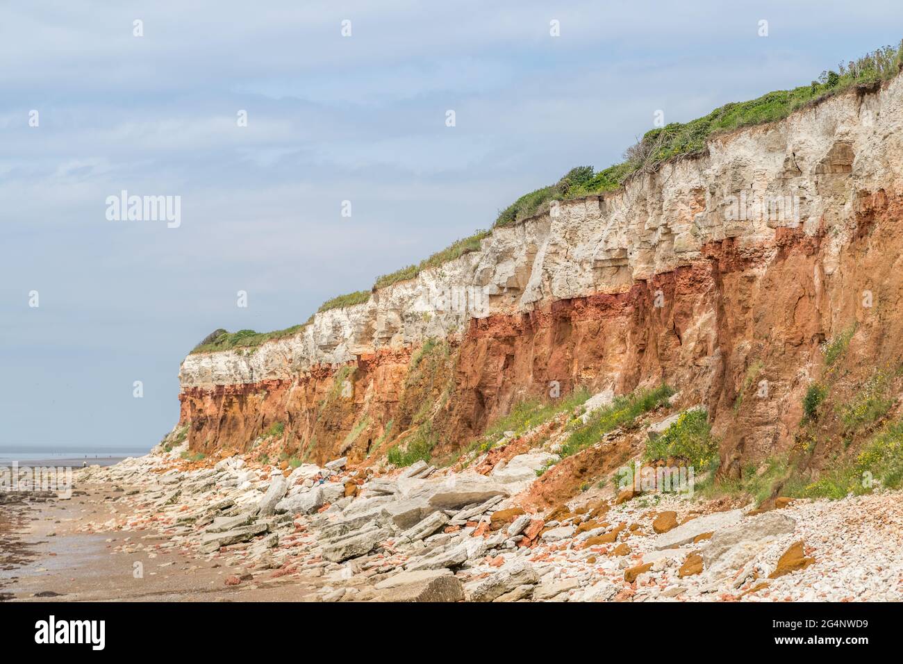 Hunstanton cliffs at low tide seen in the summer of 2021 featuring the ...