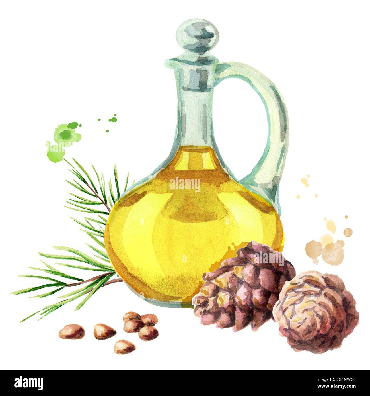 Cedar oil. Watercolor illustration Stock Photo - Alamy