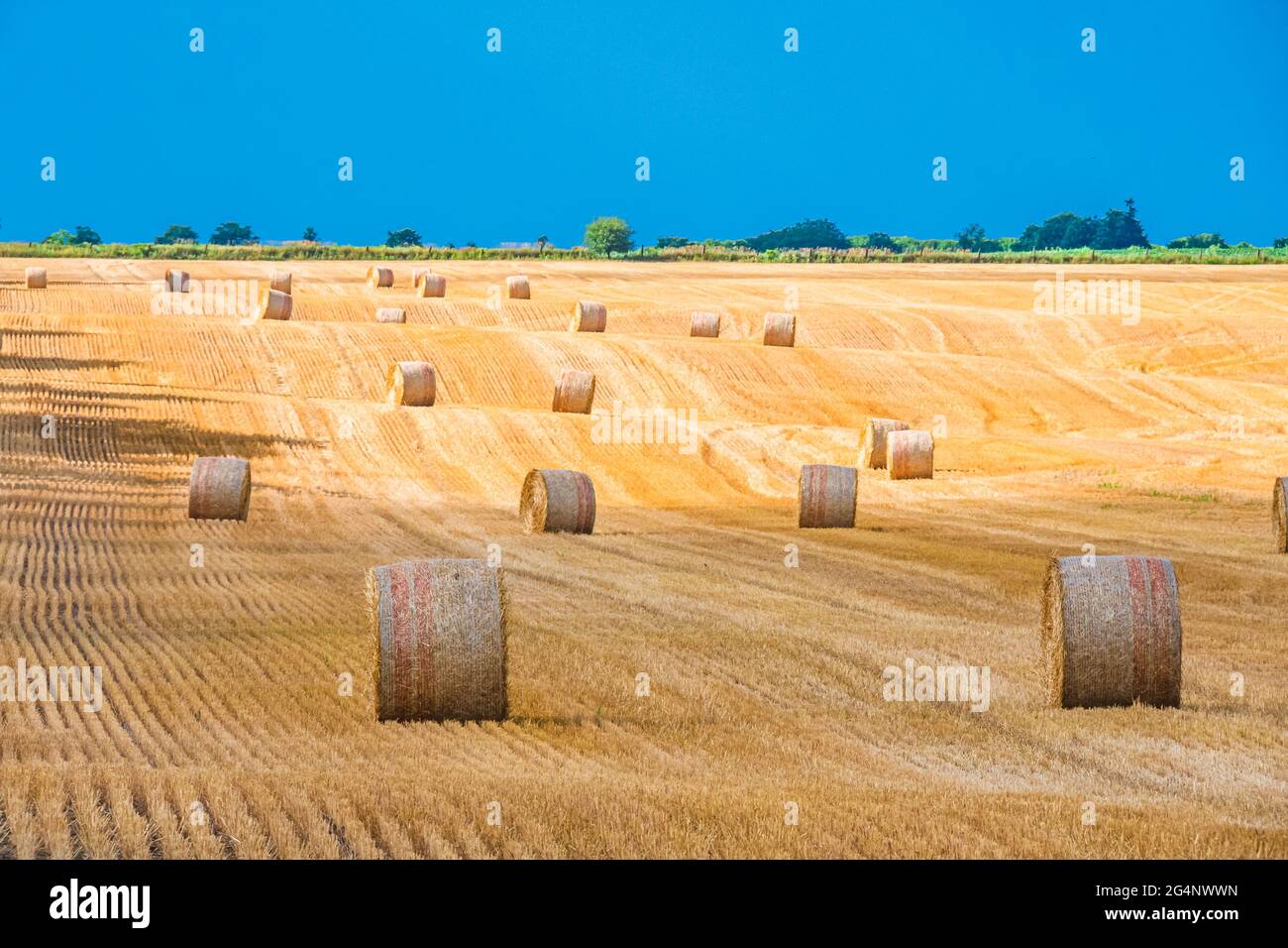 Hay bales farm field hi-res stock photography and images - Alamy