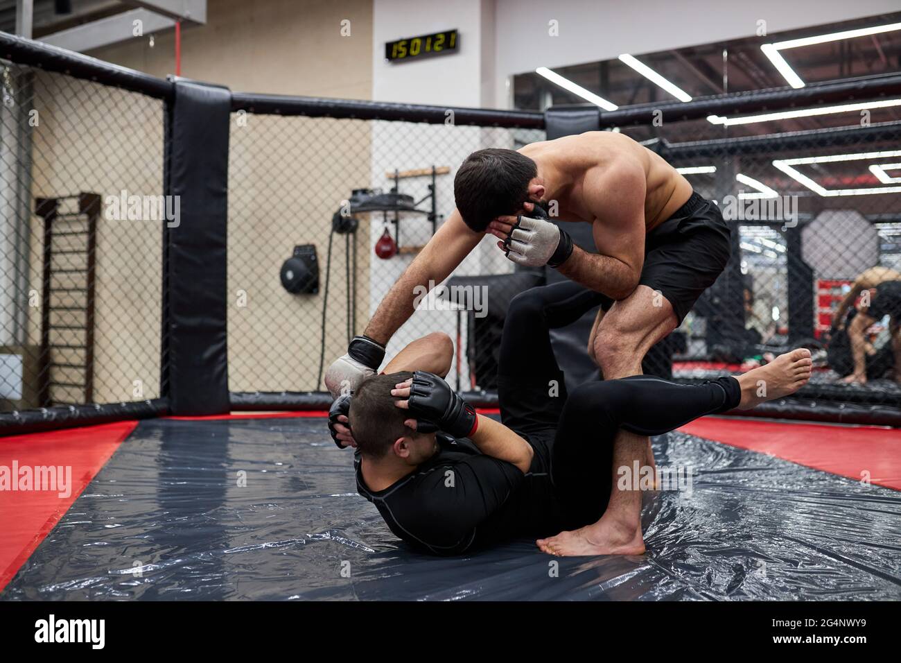 MMA. Two professional boxers boxing, fit muscular caucasian athletes ...