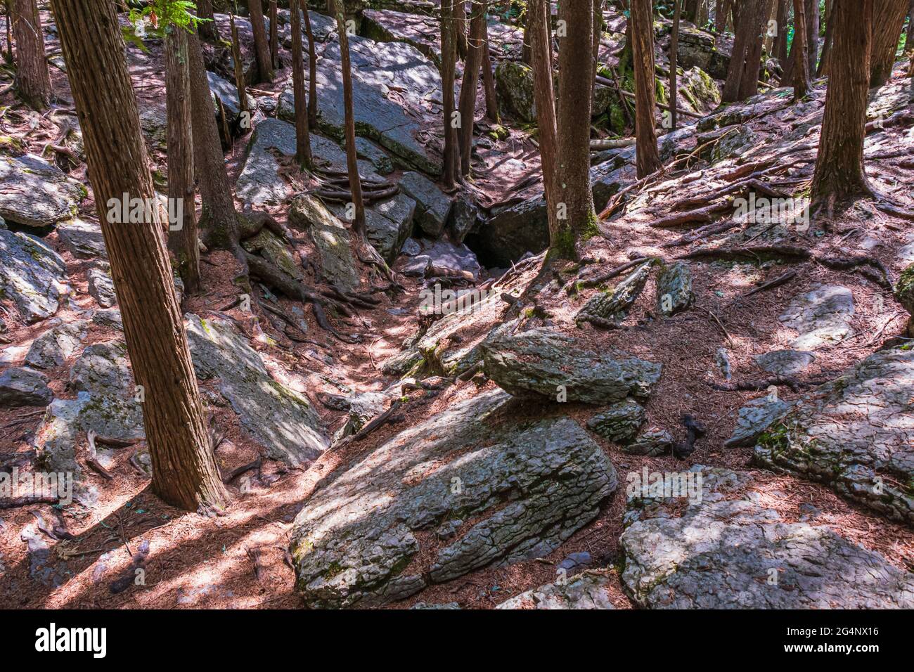 Warsaw caves hi-res stock photography and images - Alamy