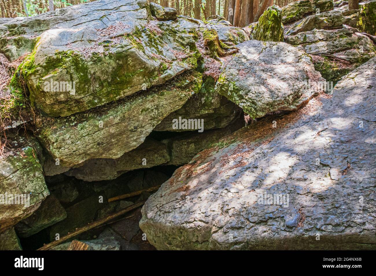 Warsaw conservation area hi-res stock photography and images - Alamy