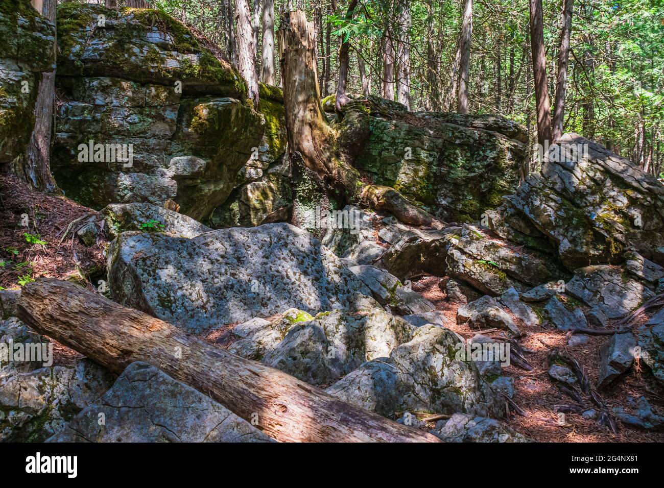 Warsaw Caves Conservation Area Warsaw Ontario Canada in summer Stock ...