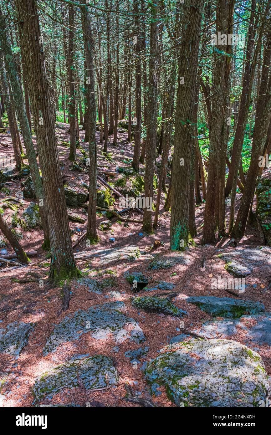 Warsaw Caves Conservation Area Warsaw Ontario Canada in summer Stock ...
