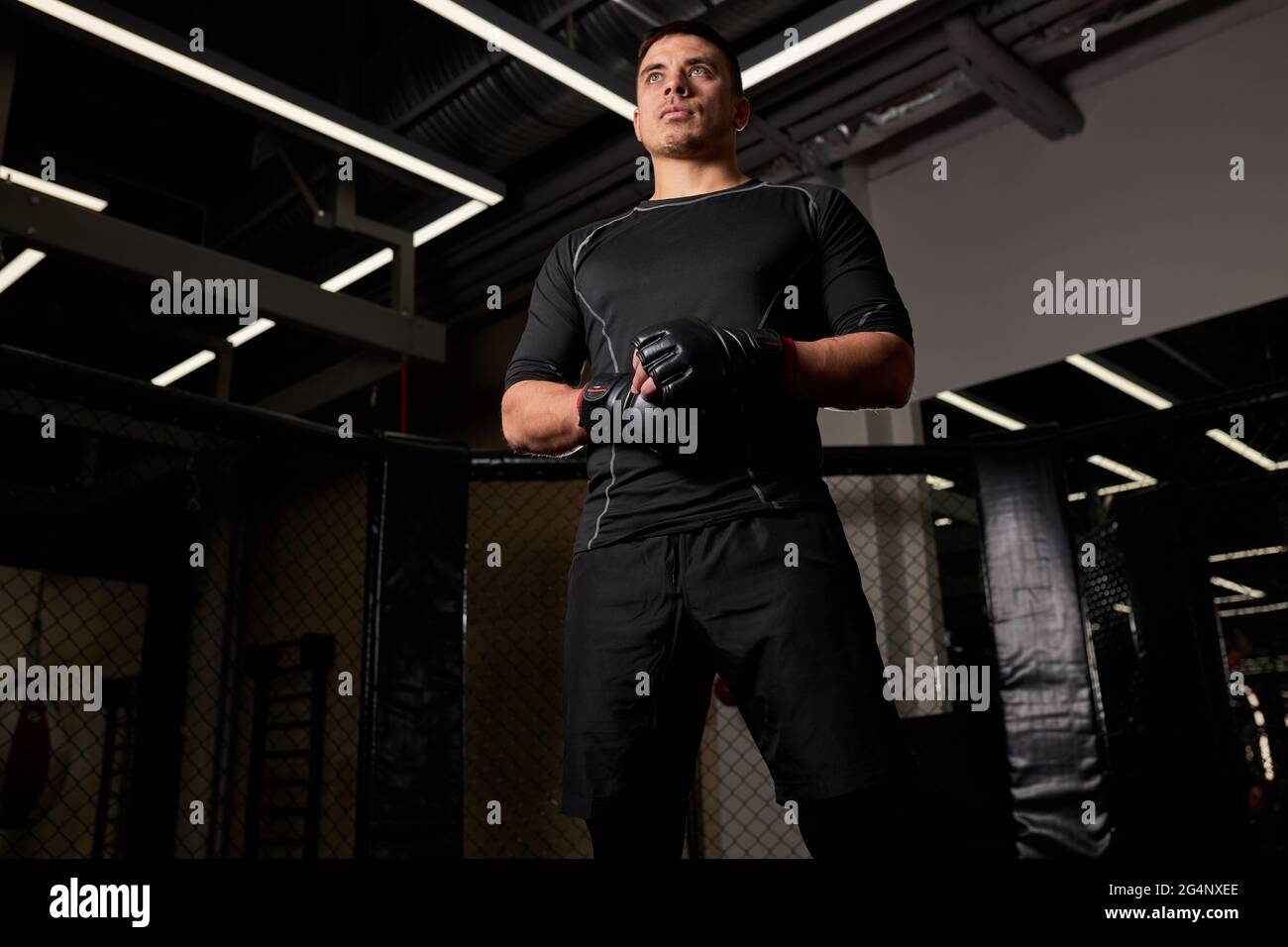 Professional strong male boxer in boxing gloves stands in pose ready ...