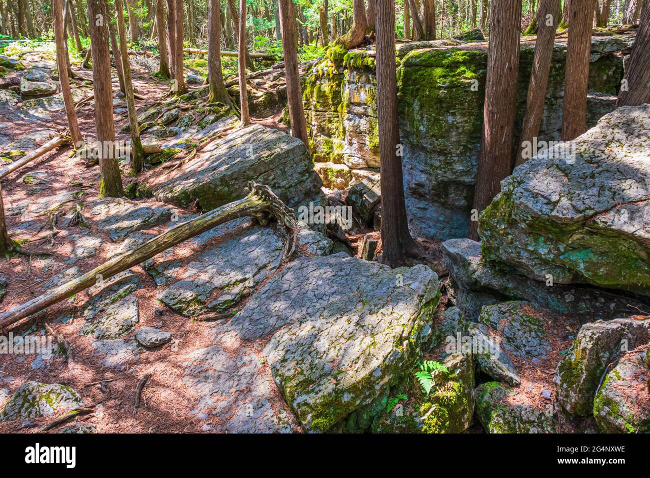 Warsaw conservation area hi-res stock photography and images - Alamy