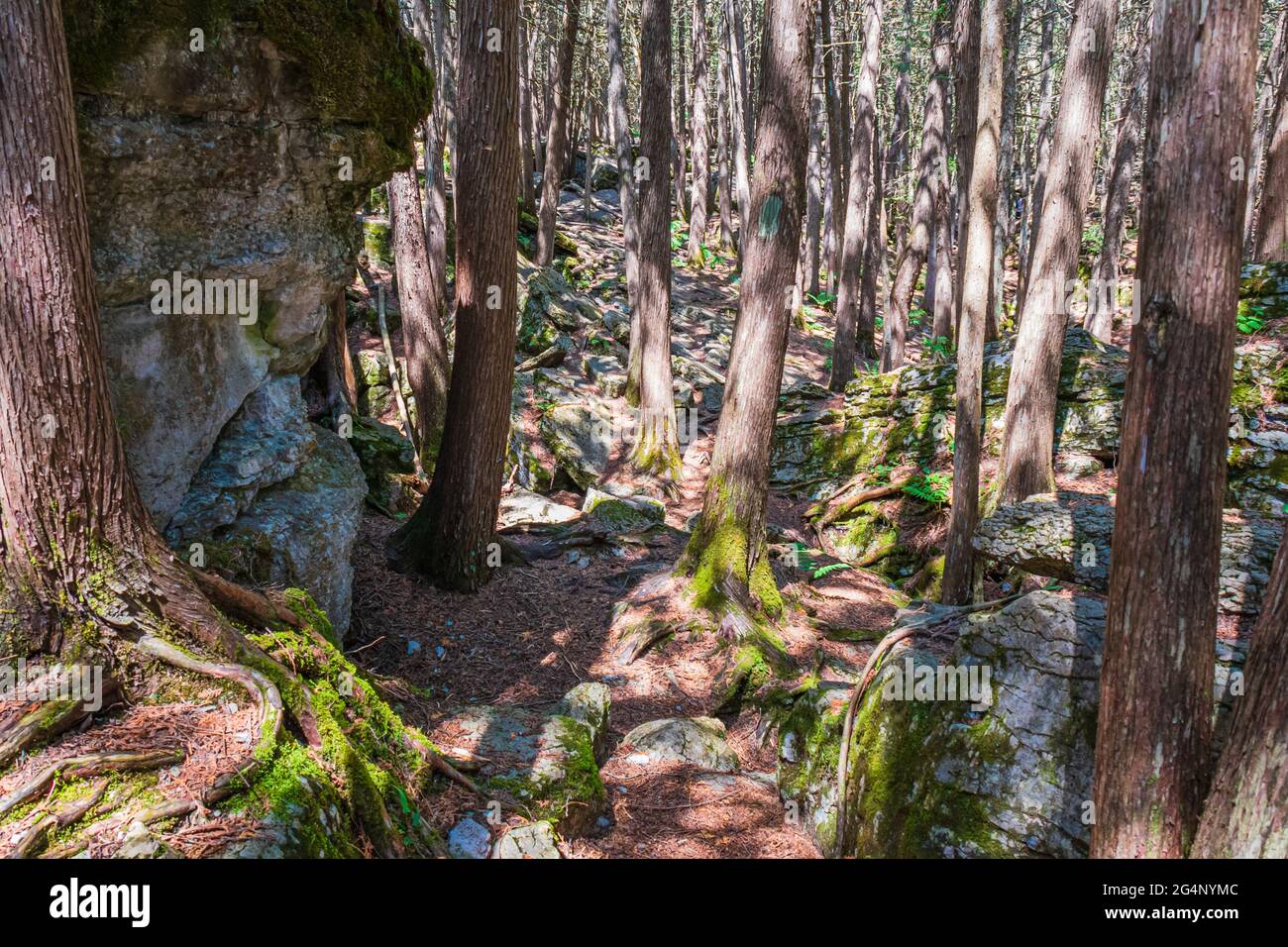 Warsaw Caves Conservation Area Warsaw Ontario Canada in summer Stock ...