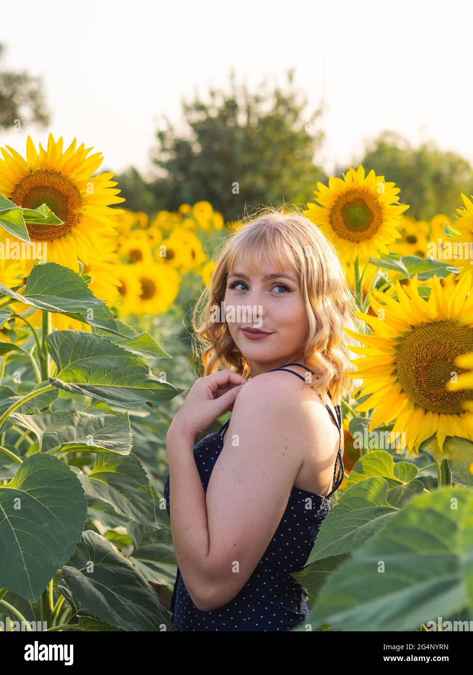 Cute curvy lady surrounded by bright sunflowers is looking away Stock ...