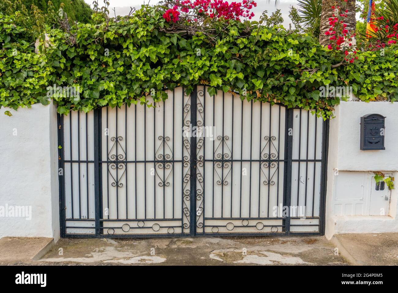 Plant Green Walls And Gates