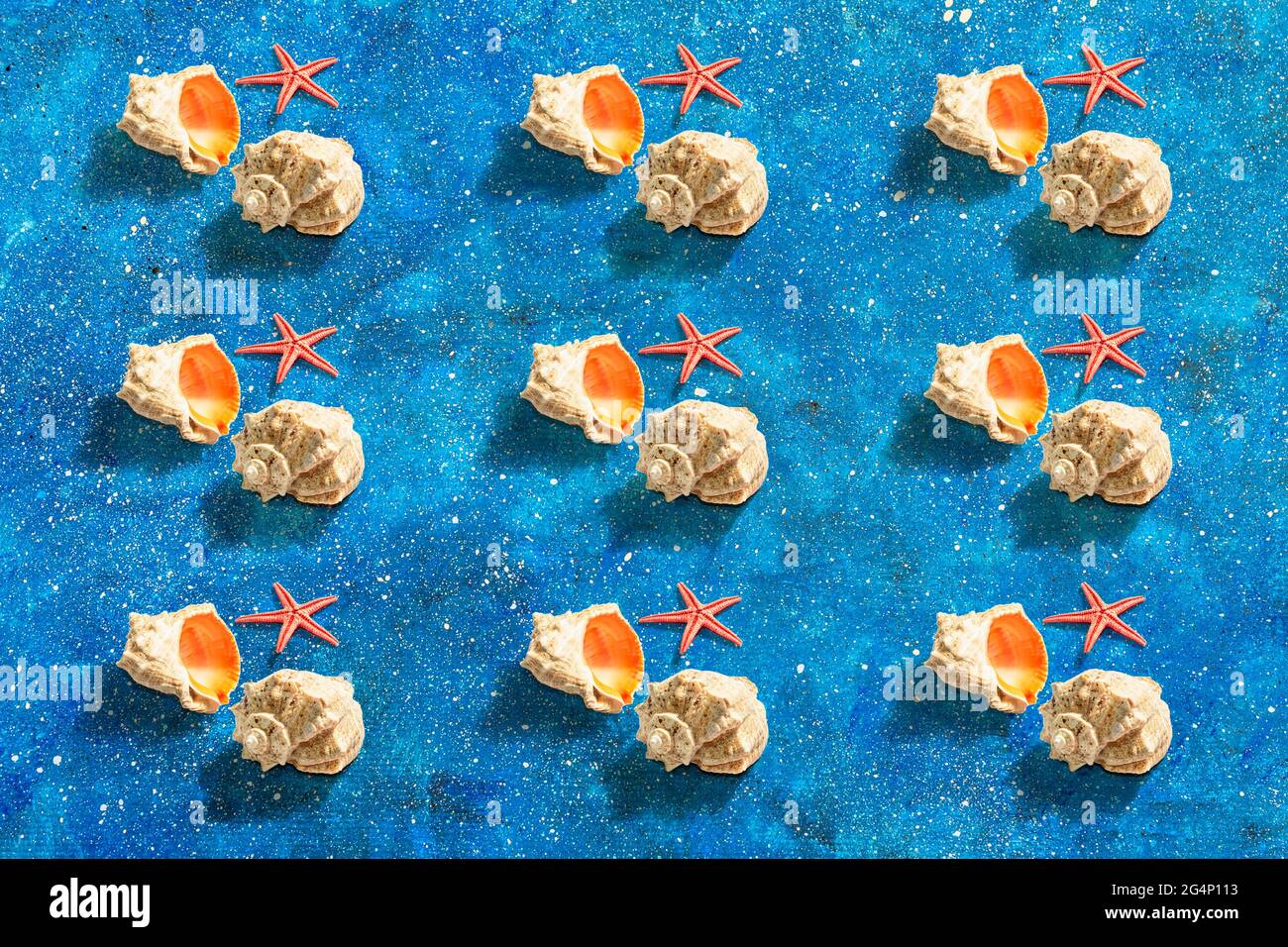 Seashells pattern on a blue nautical background. Vacation concept, sea ...