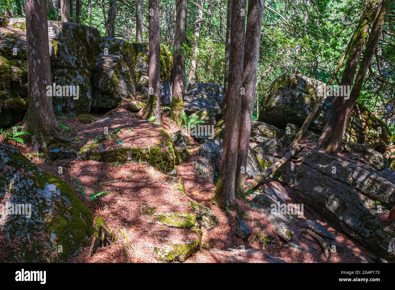 Warsaw Caves Conservation Area Warsaw Ontario Canada in summer Stock ...
