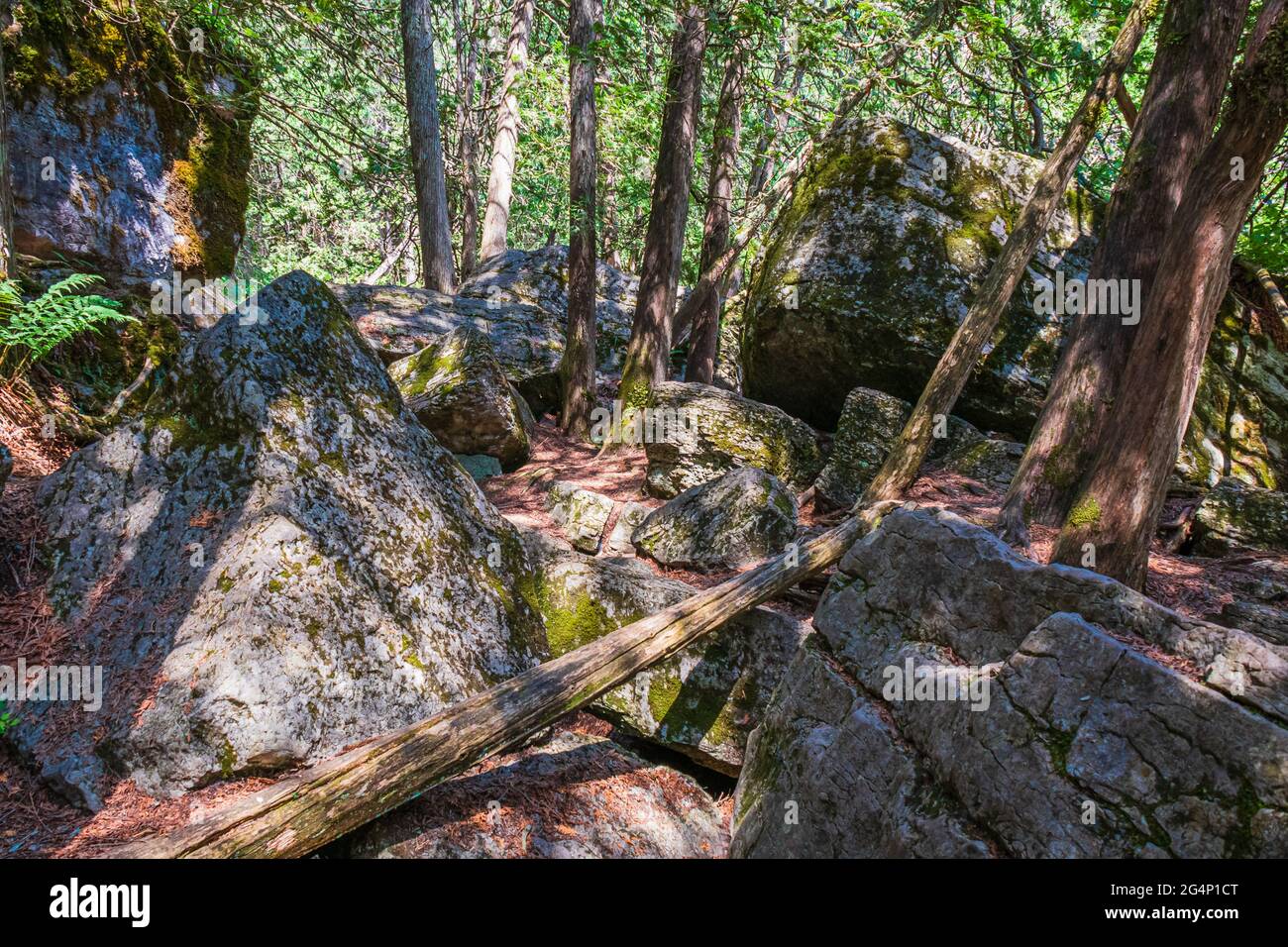 Warsaw Caves Conservation Area Warsaw Ontario Canada in summer Stock ...