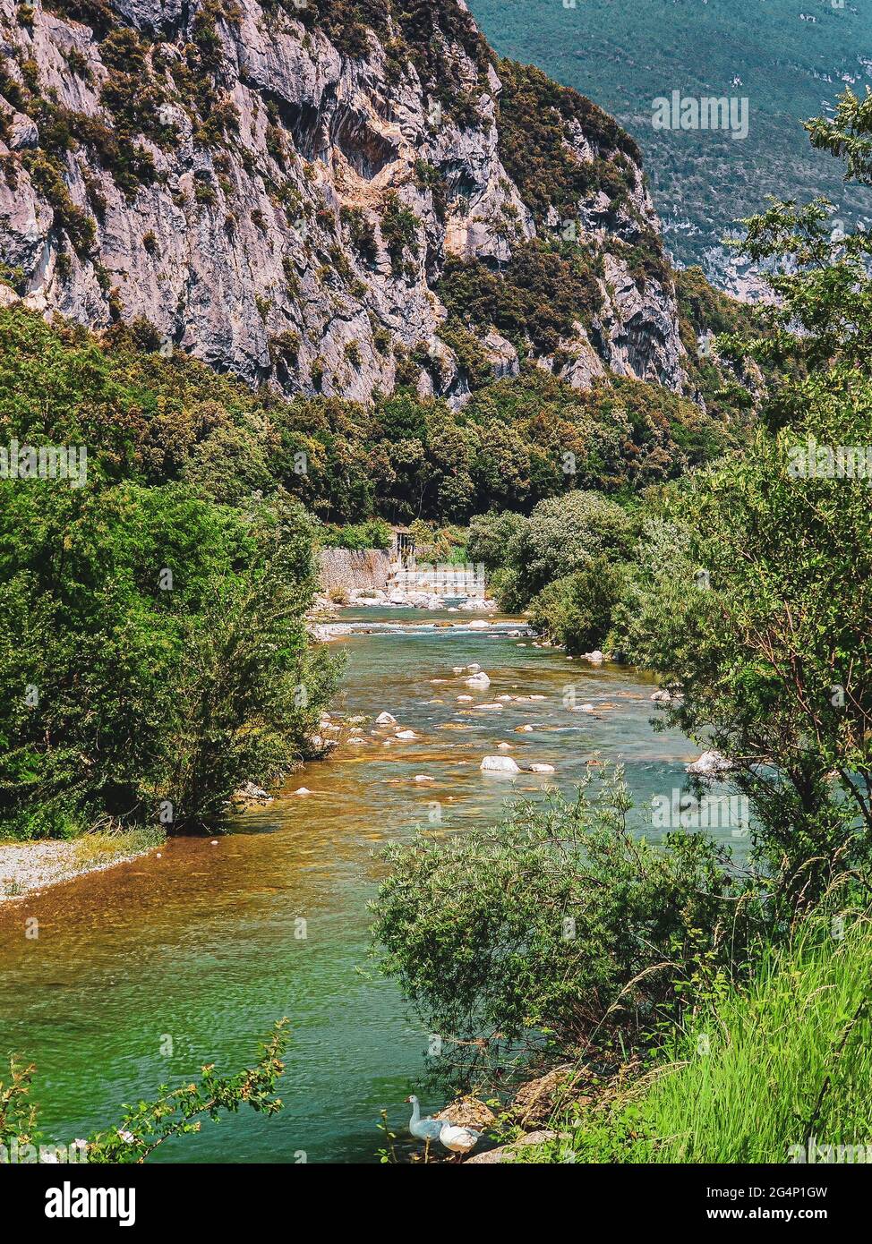 Vertical shot river lake hi-res stock photography and images - Alamy