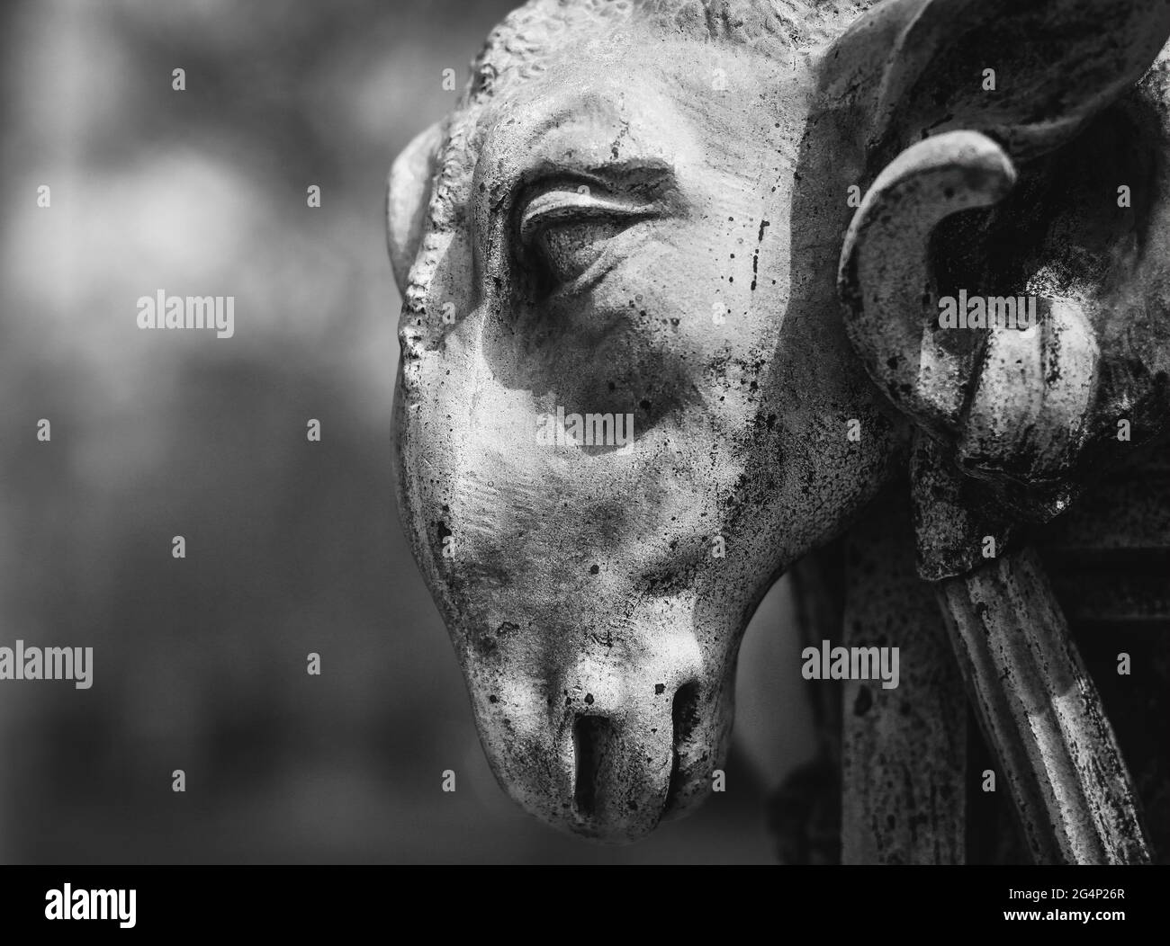 Gargoyle face hi-res stock photography and images - Alamy