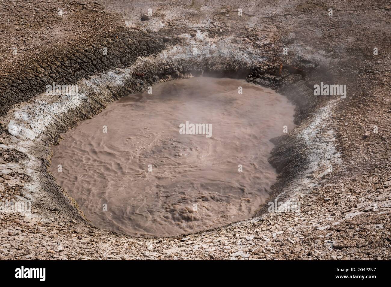 Congress pool hi-res stock photography and images - Alamy